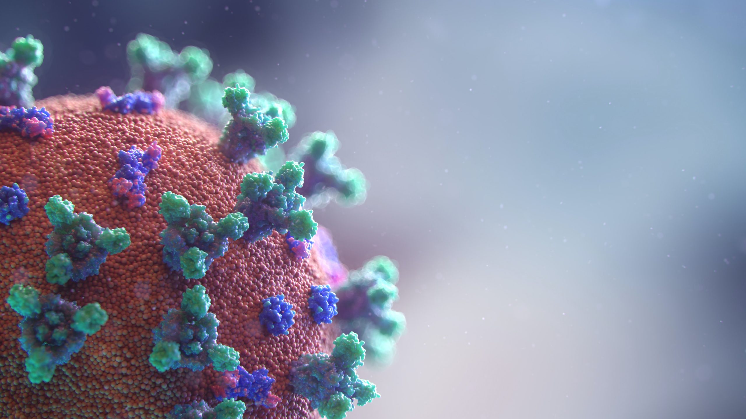 Let's talk immunocompromised vs immunosupressed ⋆ Clearly Alive