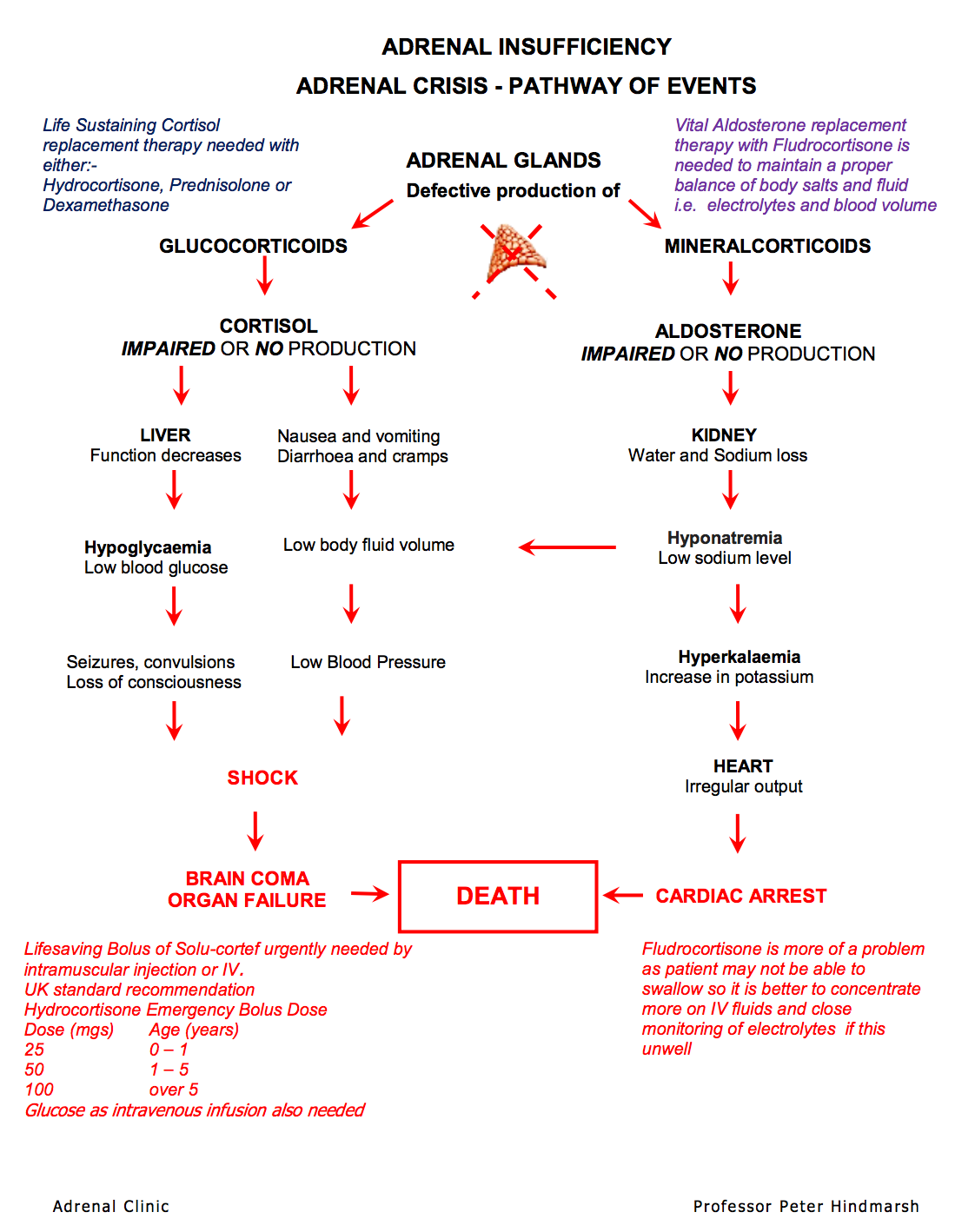 How I improved the Curriculum in a Safety Course ⋆ Clearly Alive